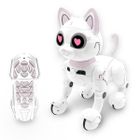 Mon chat robot savant programmable Power Kitty Lexibook : King Jouet ...